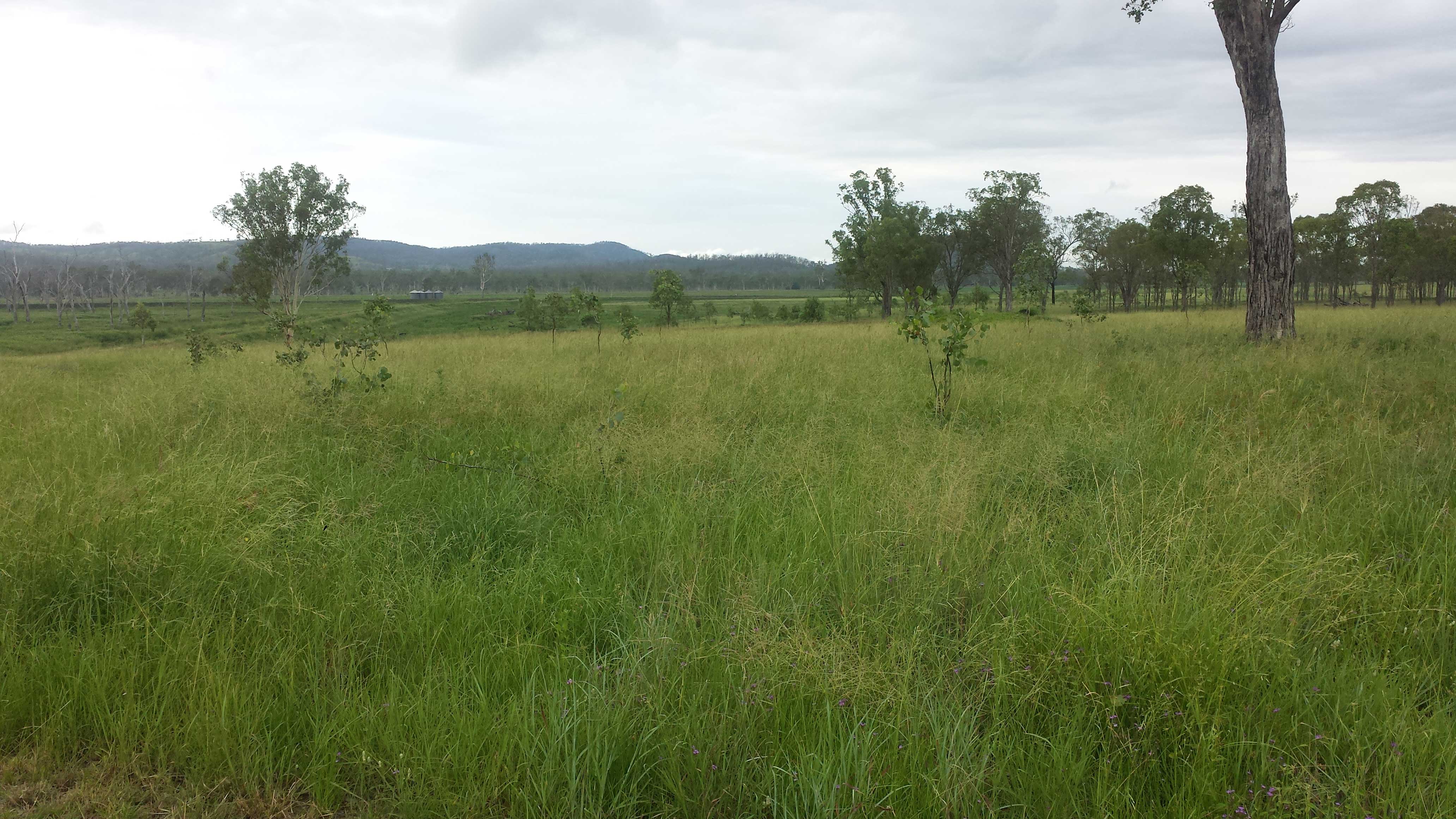 Windera Station – The Kratzmann Group